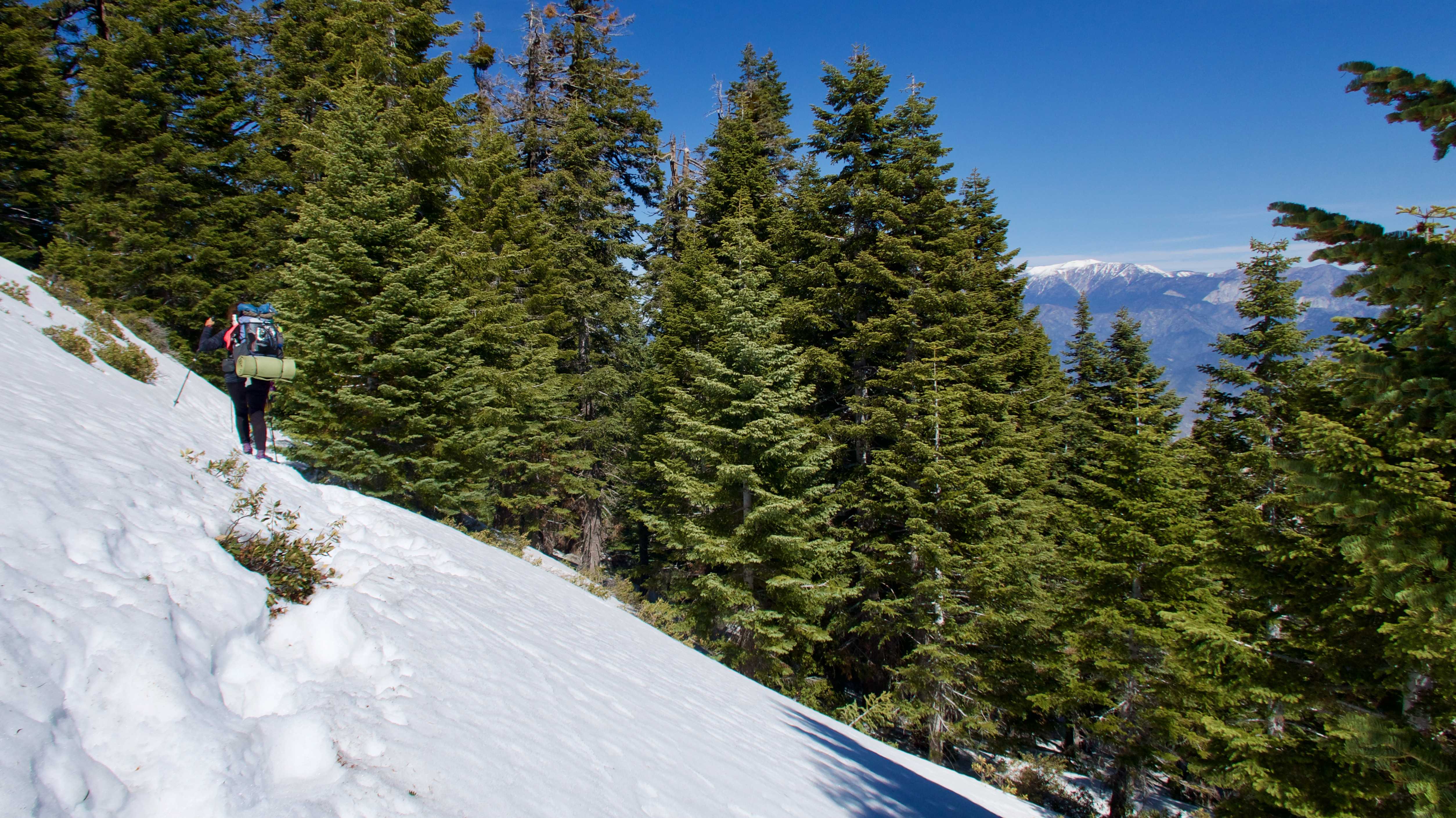 PCT 2019: Day 17, Stealth Tentsite at Mile 187.3 to Fuller Ridge | Hike ...