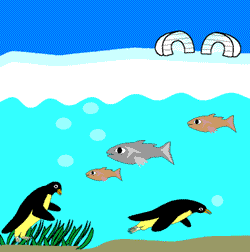 How Do Fish Survive in Icy Waters? – Pitara Kids Network