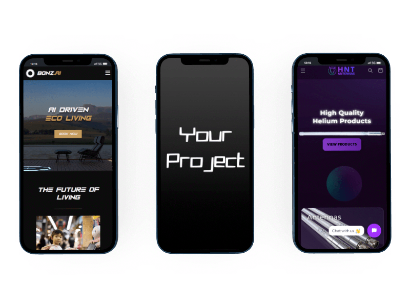 Renas Hassan - Portfolio