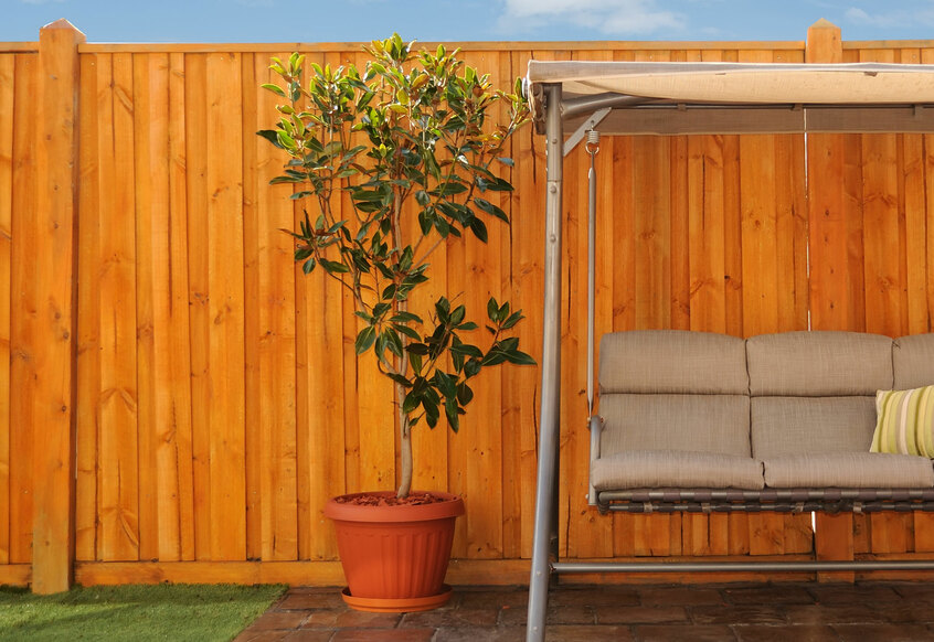 Posts in category fencing - Slamdot