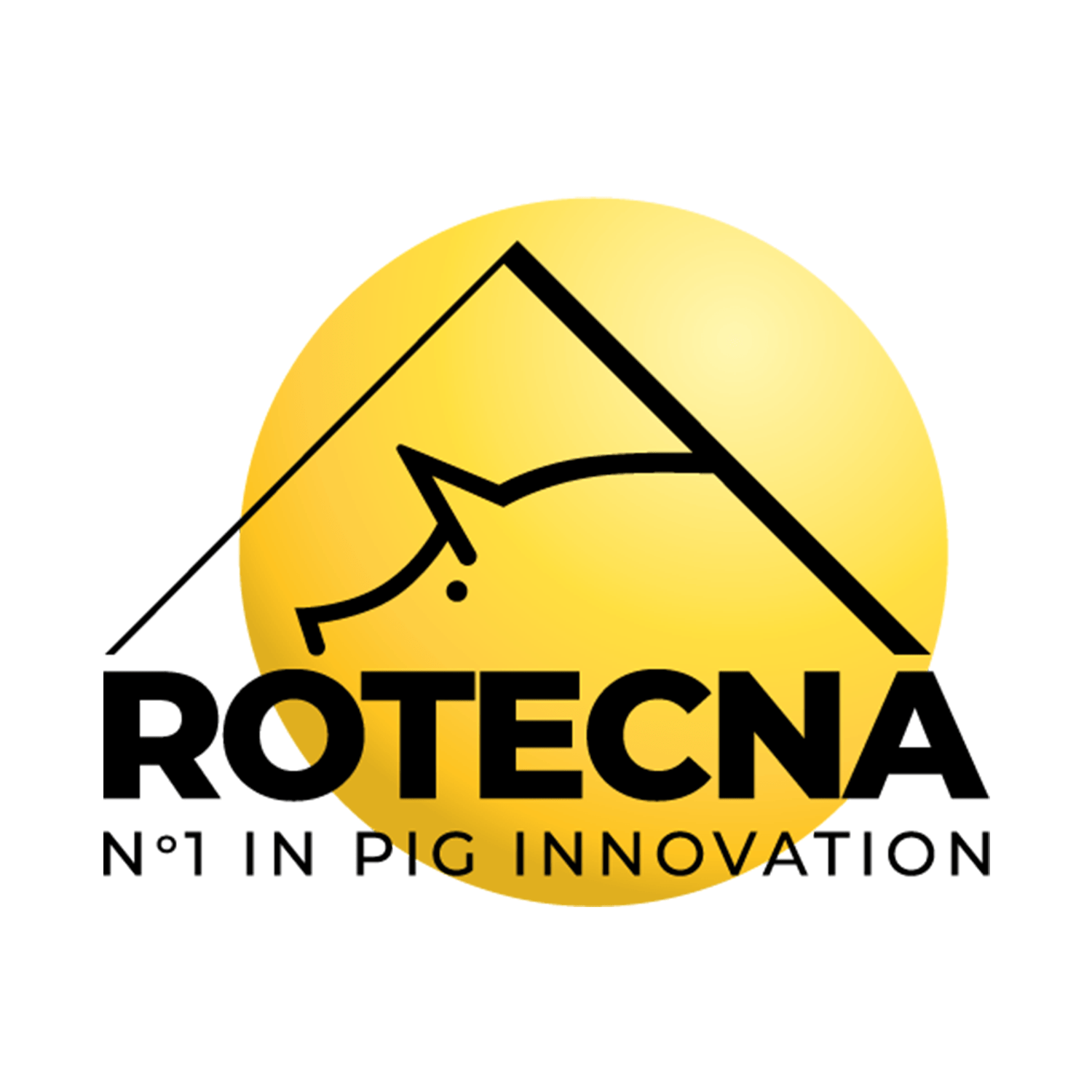 CASO DE ÉXITO - ROTECNA | Invelon Technologies