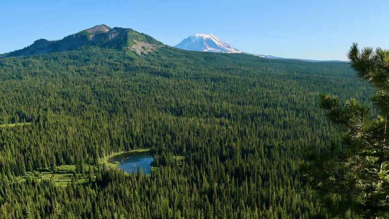 PCT 2019: Day 80, Tentsite at Mile 2281.6 to Walupt Lake Trail Junction ...