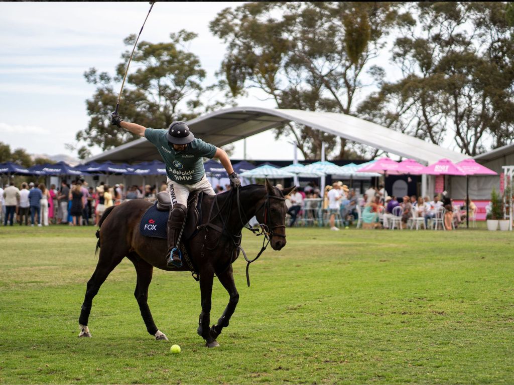 Adelaide Polo Classic 2022 | UpNext