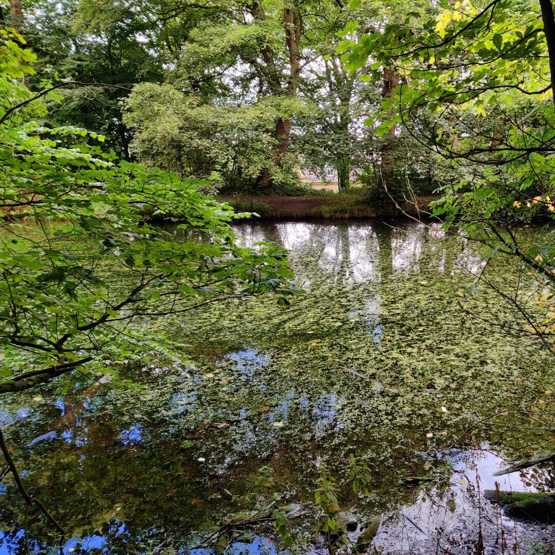 Farnley Hall Fish Pond - Discover Leeds