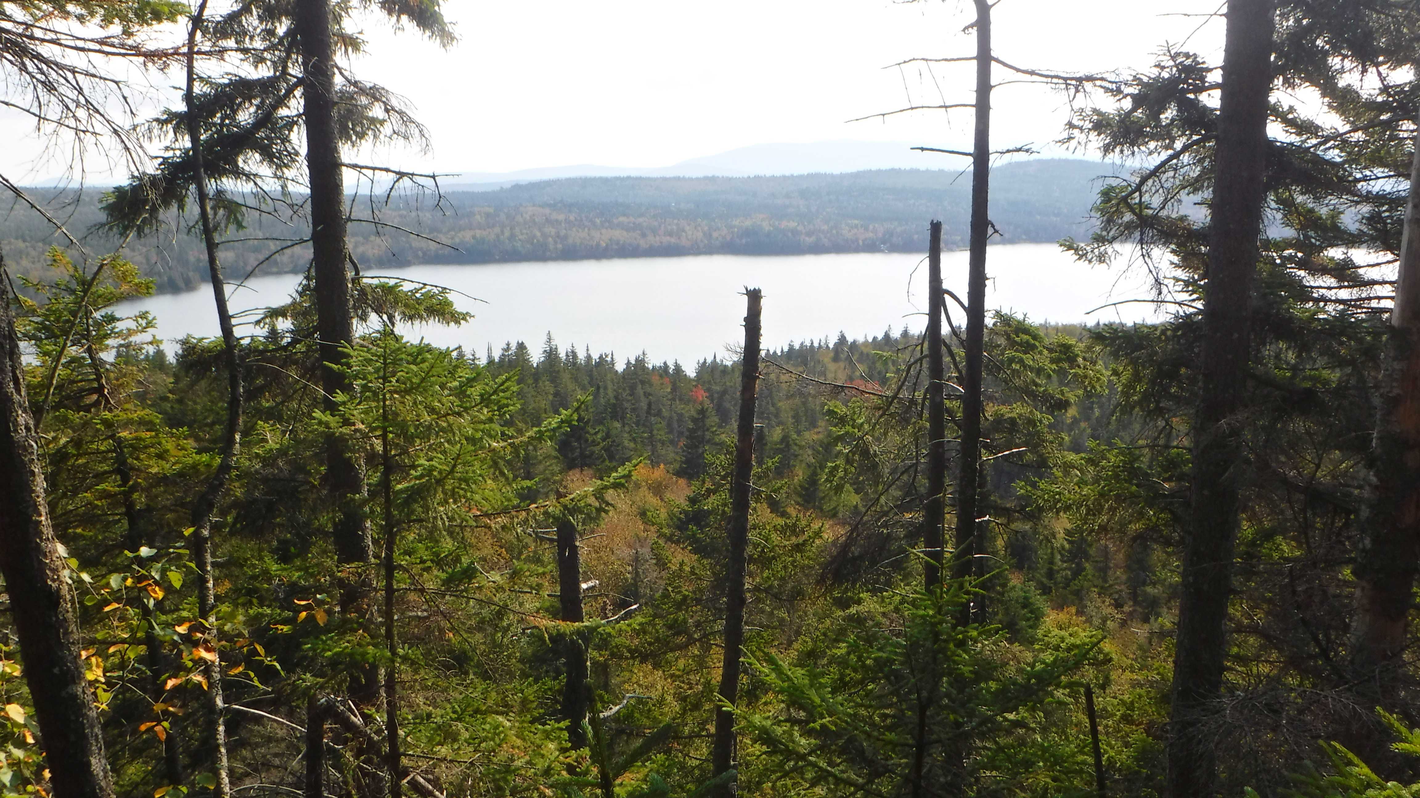 AT 2017: Day 159, Bemis Mountain Lean-to to Little Swift River Pond ...