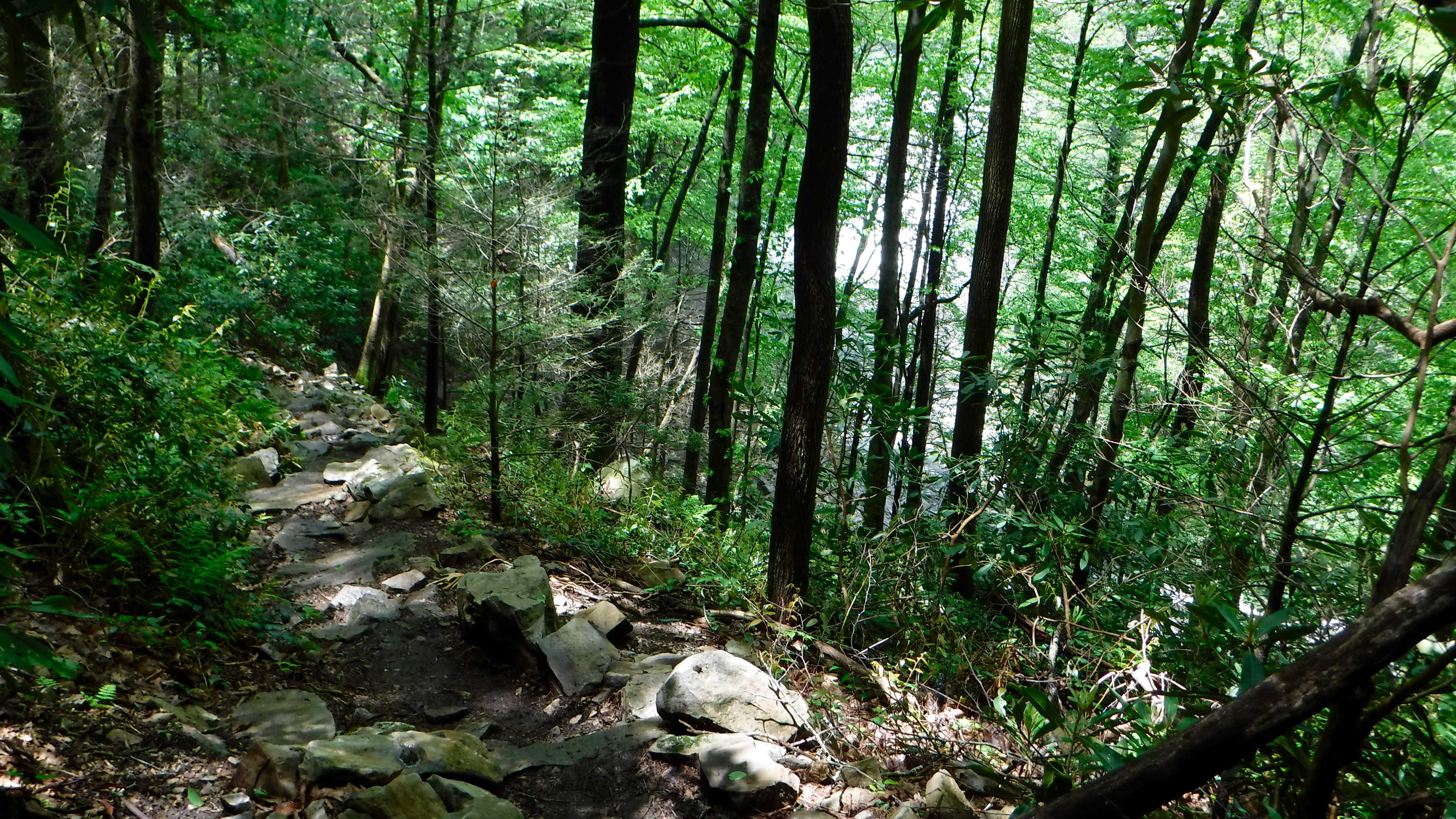 AT 2017: Day 33, Moreland Gap Shelter to Shook Branch Road | Hike with ...