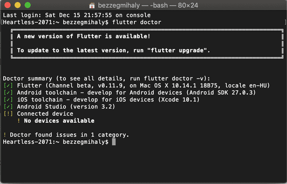 Creating your first Flutter project using WebStorm · Brains & Beards