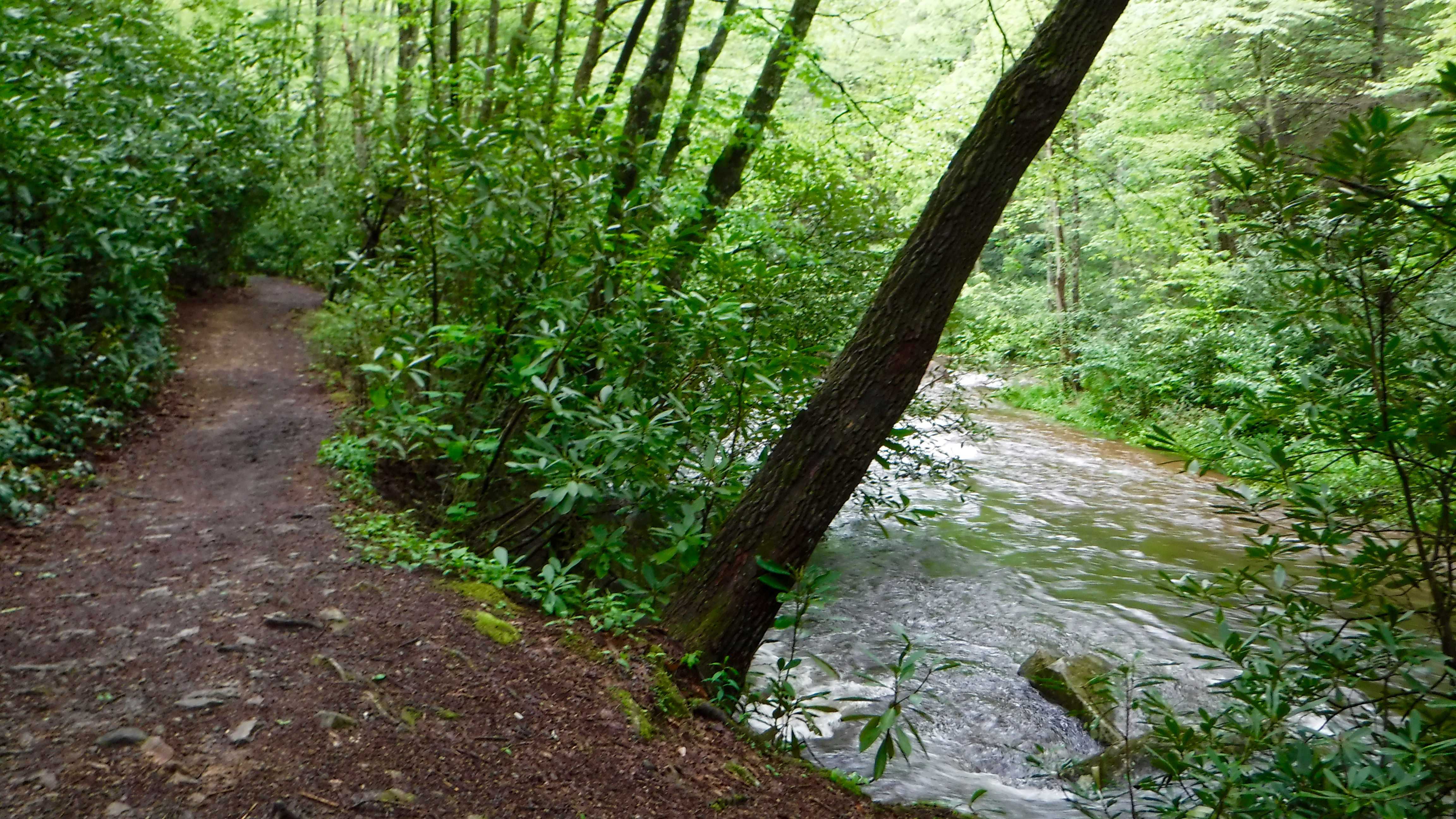 AT 2017: Day 33, Moreland Gap Shelter to Shook Branch Road | Hike with ...