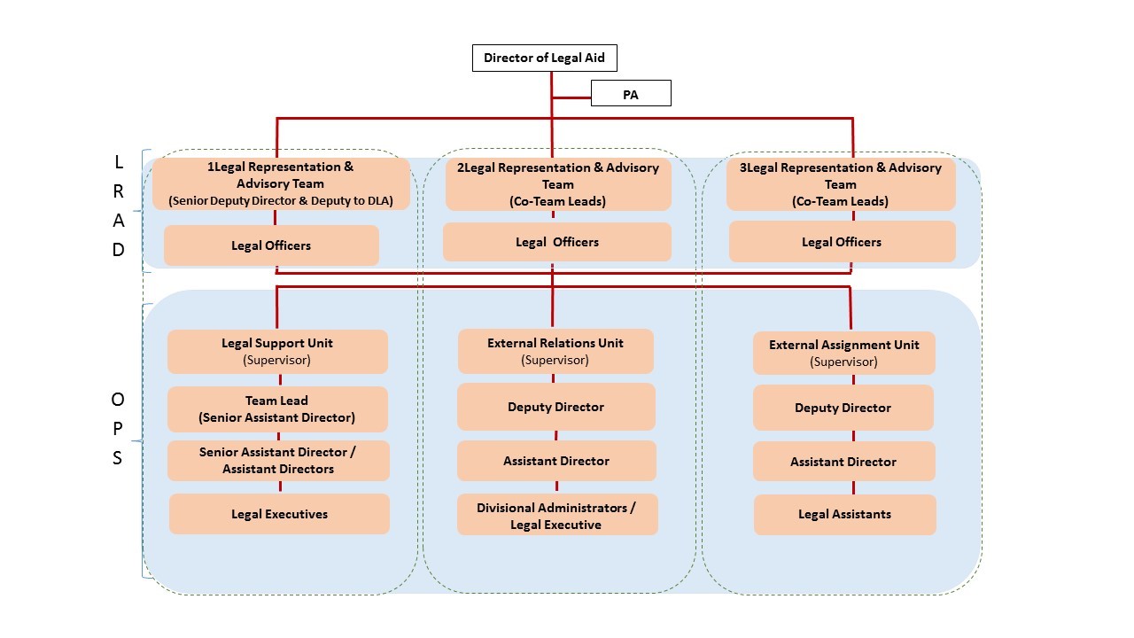 Organisation structure