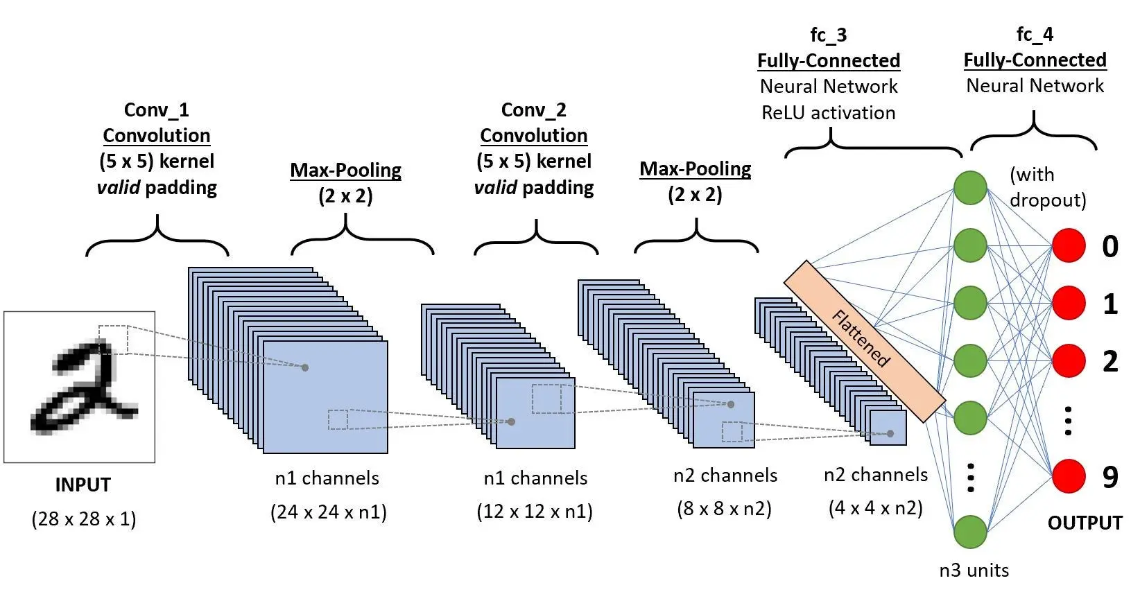 A Comprehensive Guide to Convolutional Neural Networks — the ELI5 way | Saturn Cloud Blog