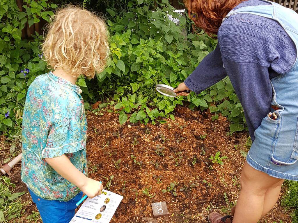 Australian Pollinator Week: discovering pollinators 2021 | UpNext