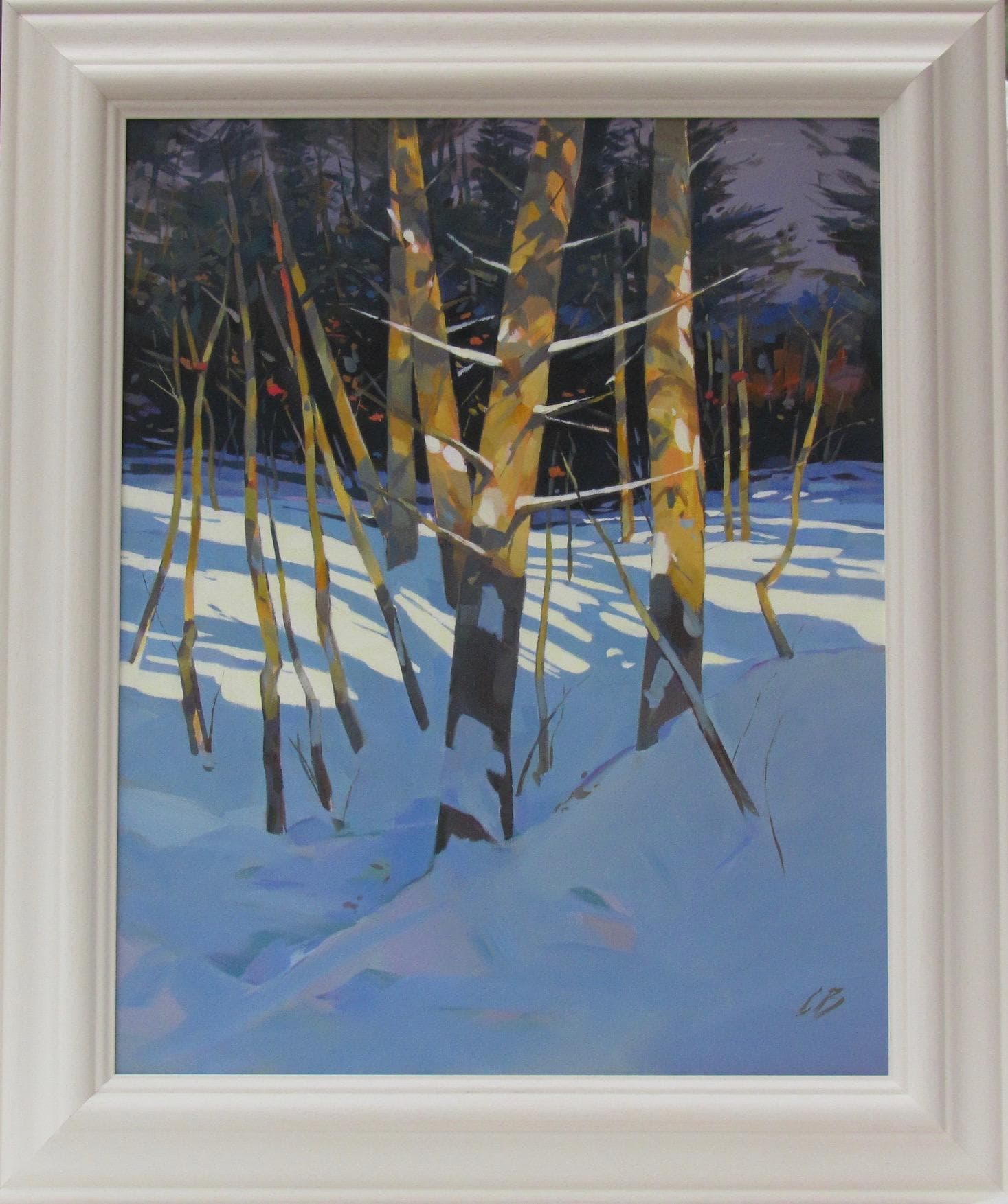 Campbell Bryson – 1896 Gallery