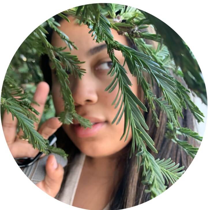 Cozy Coffee Shops Fit for Writing Your Next Novel in Seattle - Vibemap