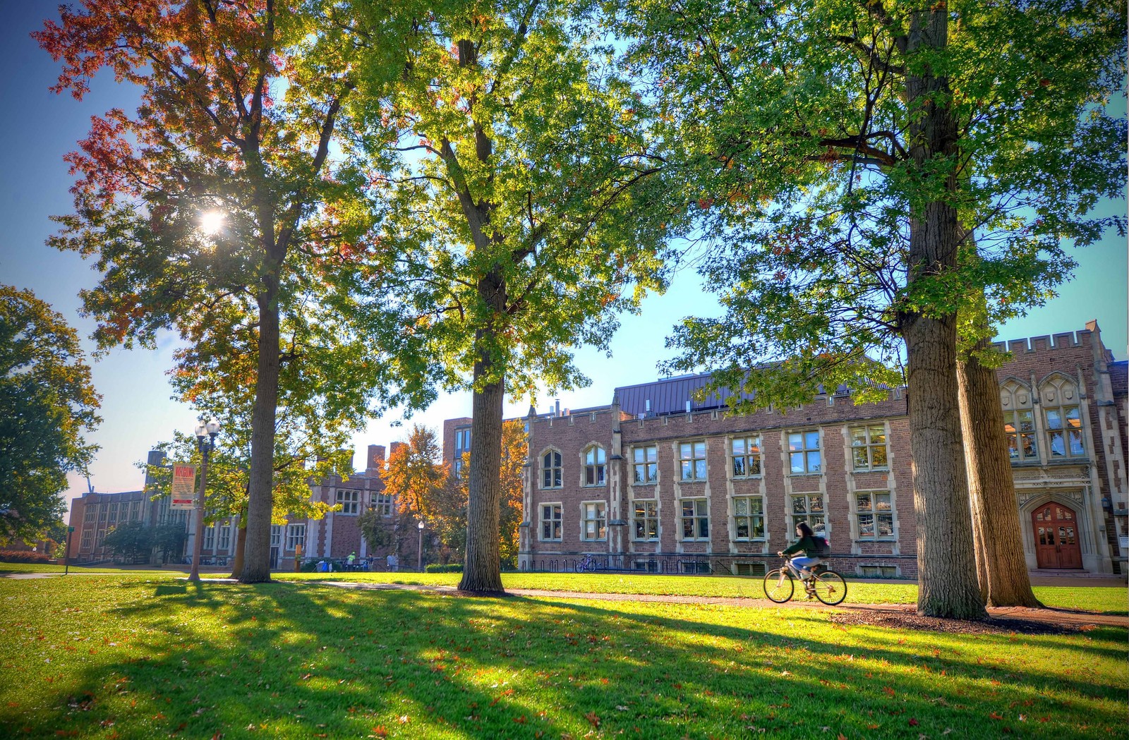 Washington University Online Degree Program Partnership | 2U