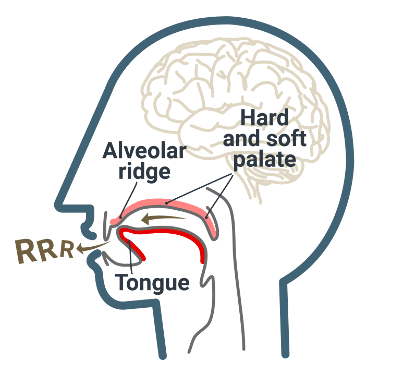 How to roll your R's: The definitive guide