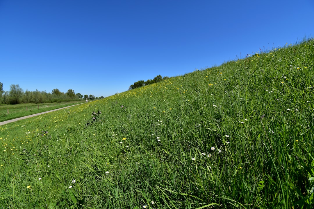 Food, Agriculture and Land Use | The Climate Tech Handbook
