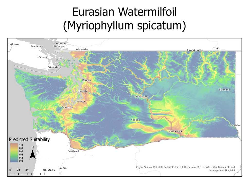 The Process Of Developing Species Distribution Modeling Using Maxent Blog