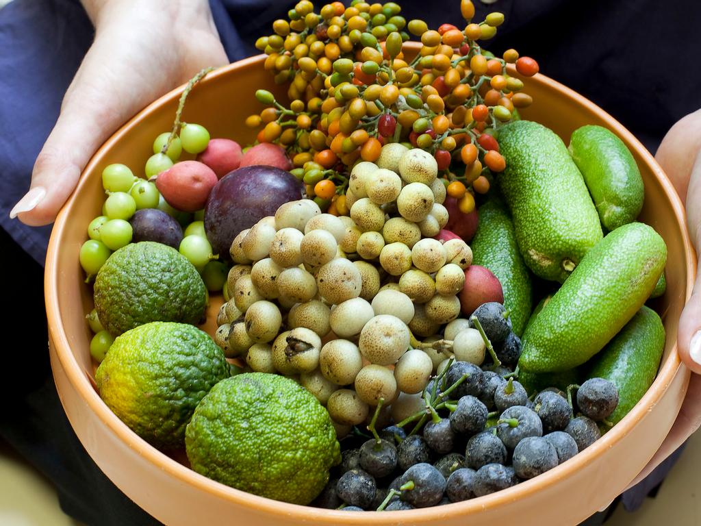 Aboriginal Bush Tucker Lunch experience at the Garden 2020 | UpNext