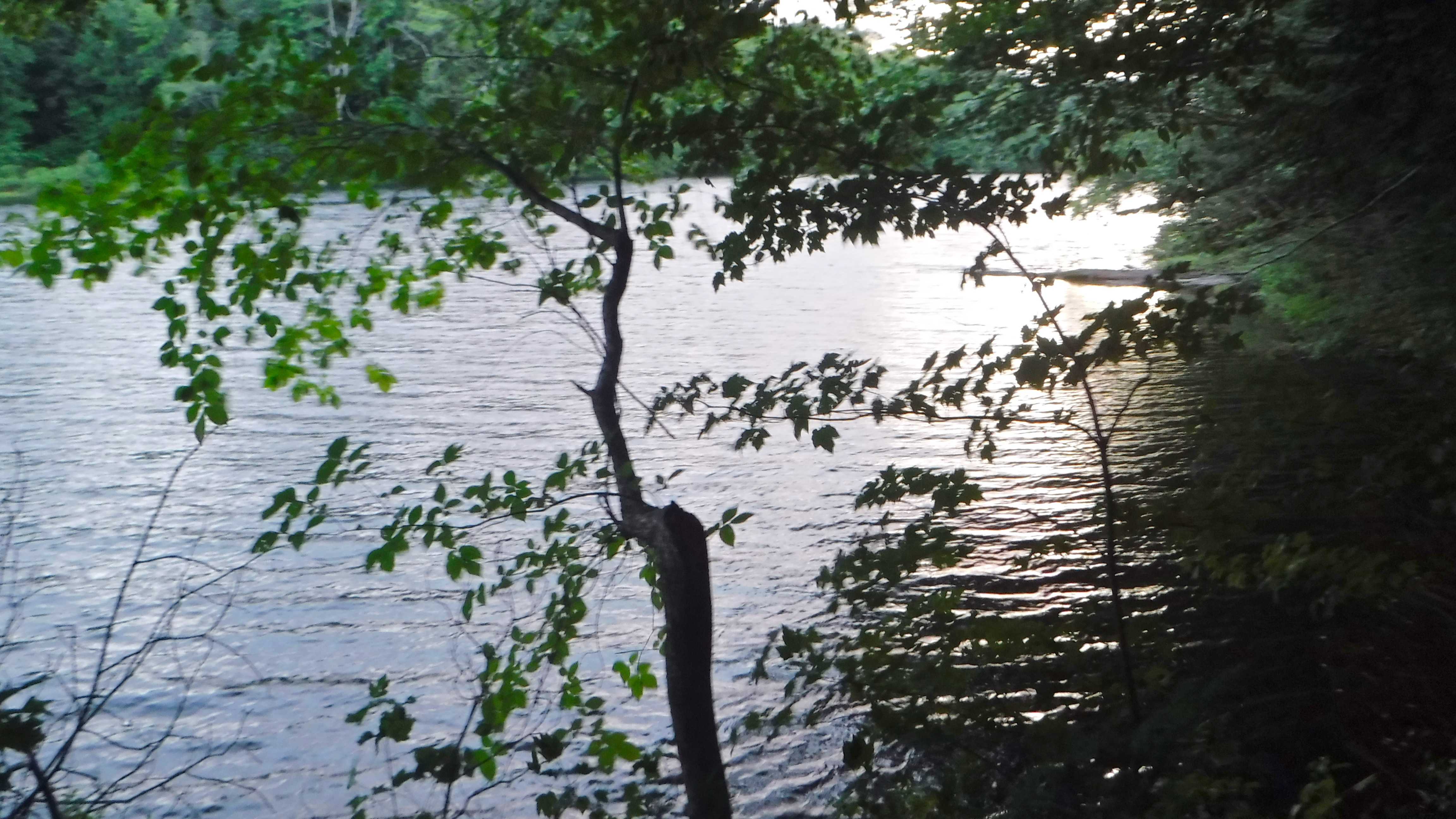 AT 2017: Day 117, Tom Leonard Shelter to Upper Goose Pond Cabin | Hike ...
