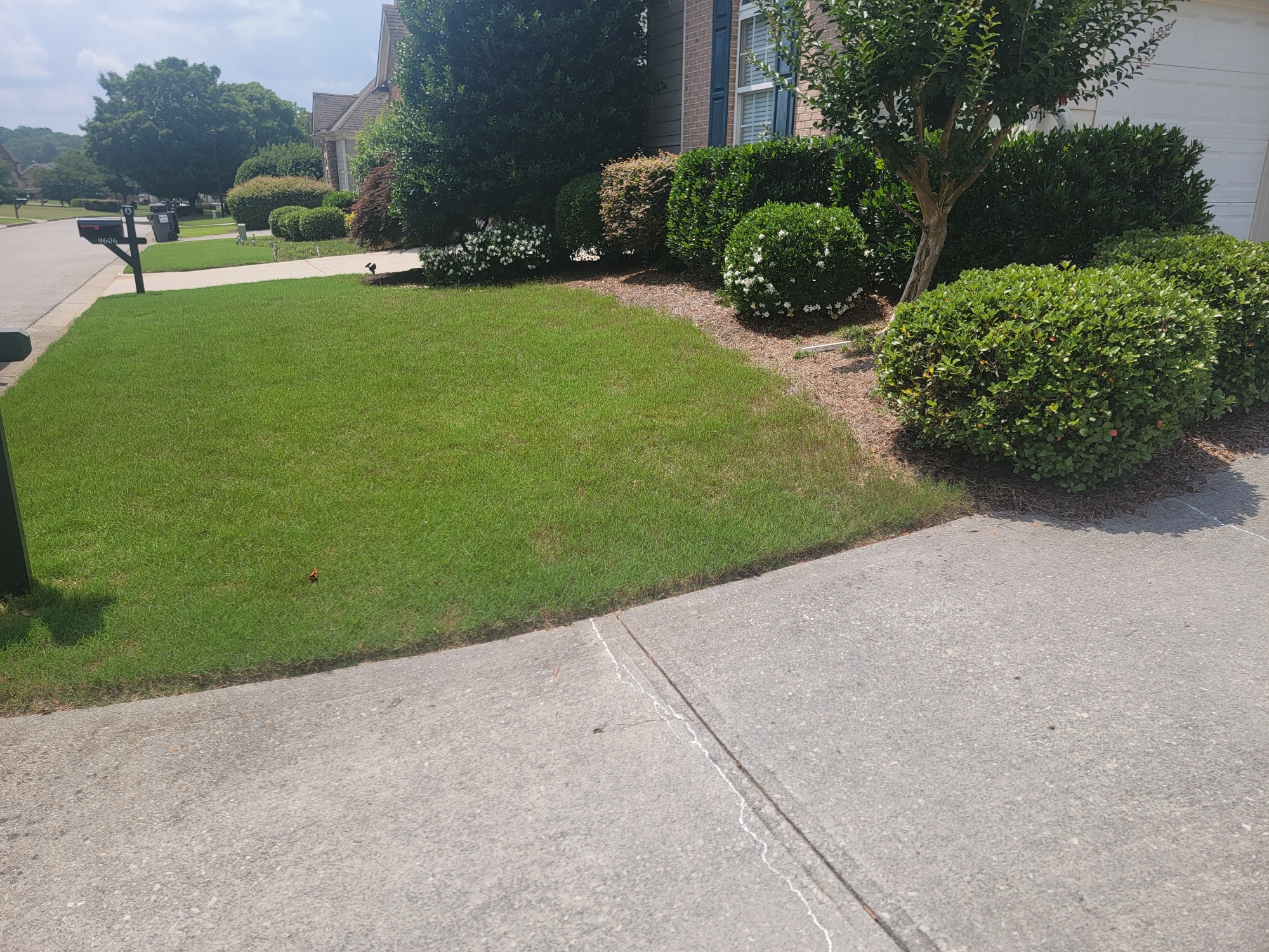 Hector the Lawn Inspector