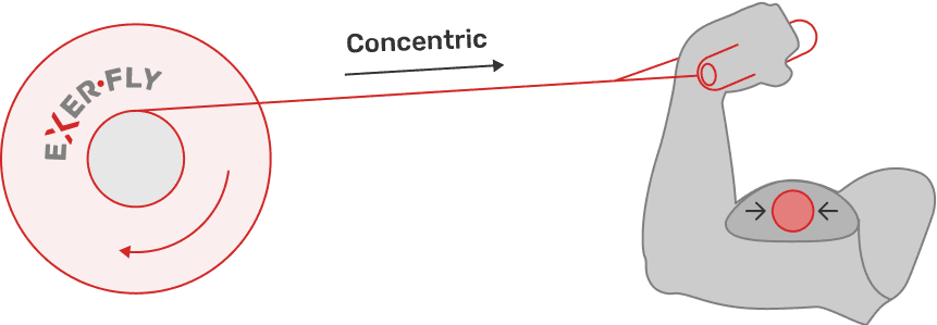 Advanced Flywheel Training Equipment - Exerfly Sport