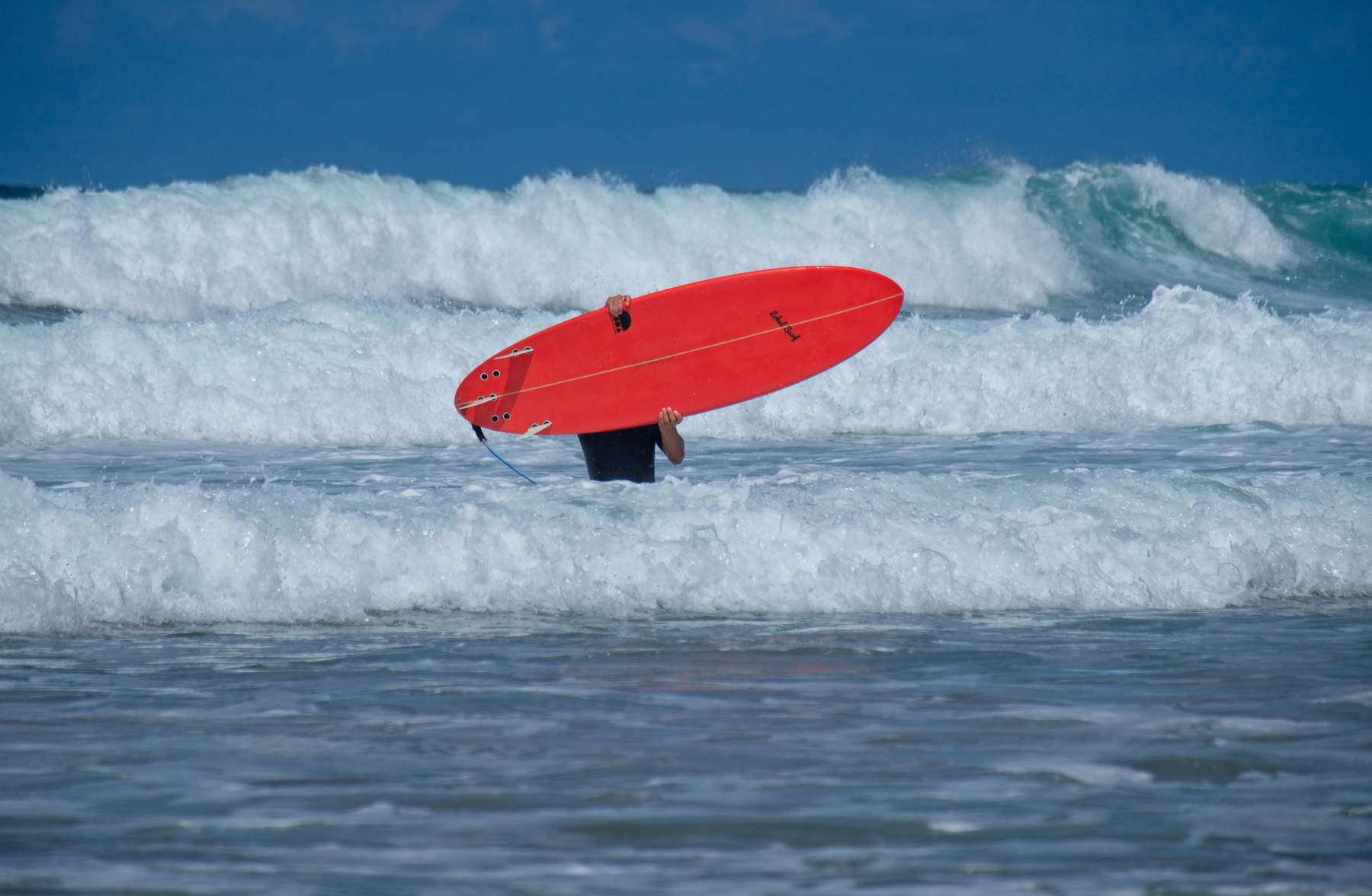 Is A Red Wave Coming Our Way? | Grow Our Party