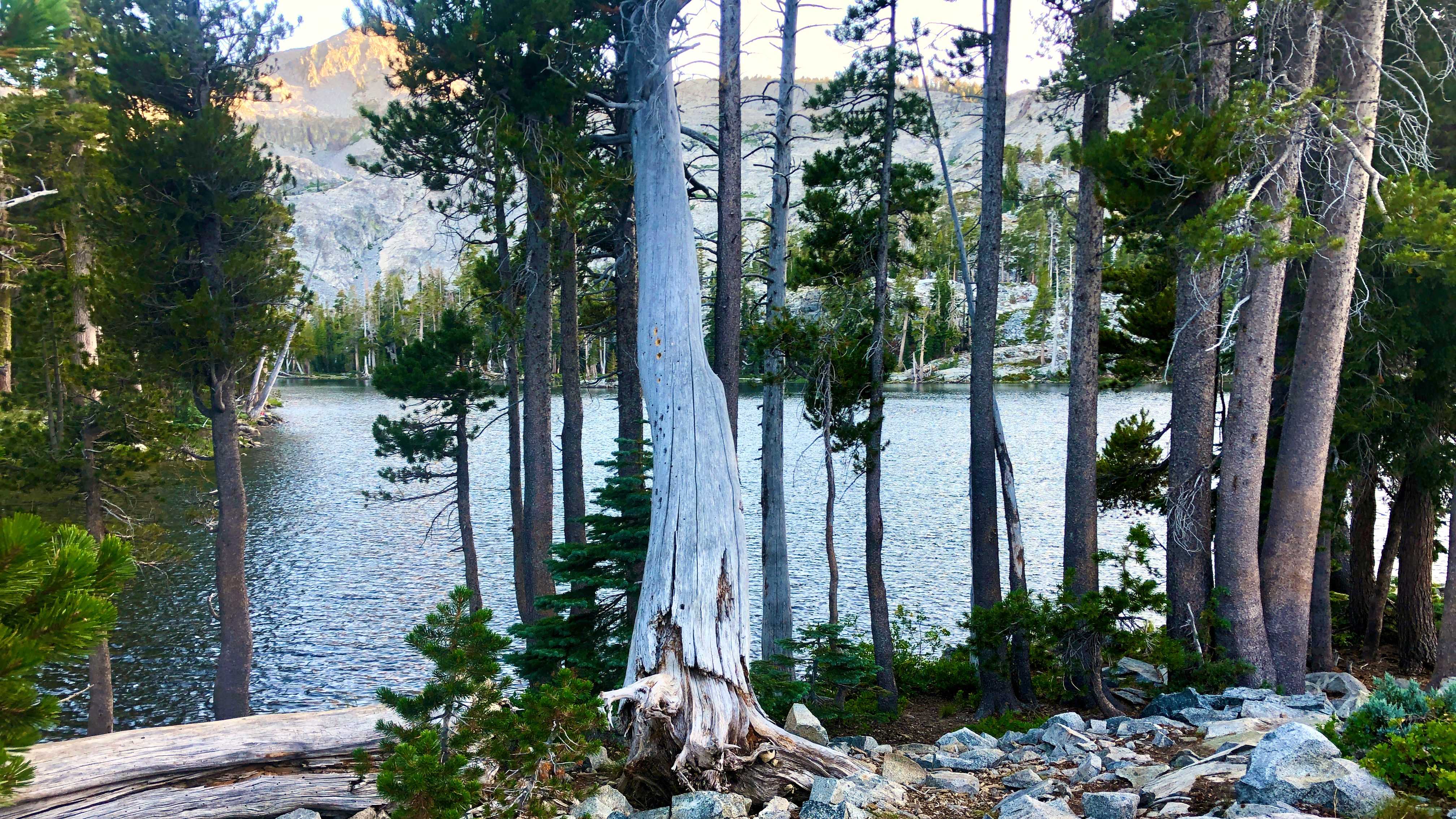 PCT 2019: Day 117, Tentsite at Mile 1115.1 to Tamarack Lake | Hike with ...