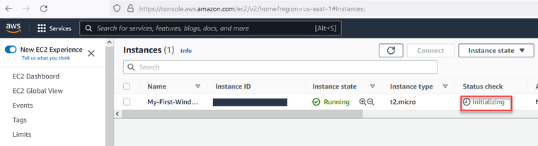 How To Run .NET 6, Kestrel, and Web API, on an AWS EC2 Windows Instance | no dogma blog