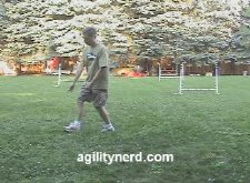 Learning the Rear Cross | AgilityNerd