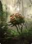 1/1 Green Saproling Creature Token | MTG.onl Tokens