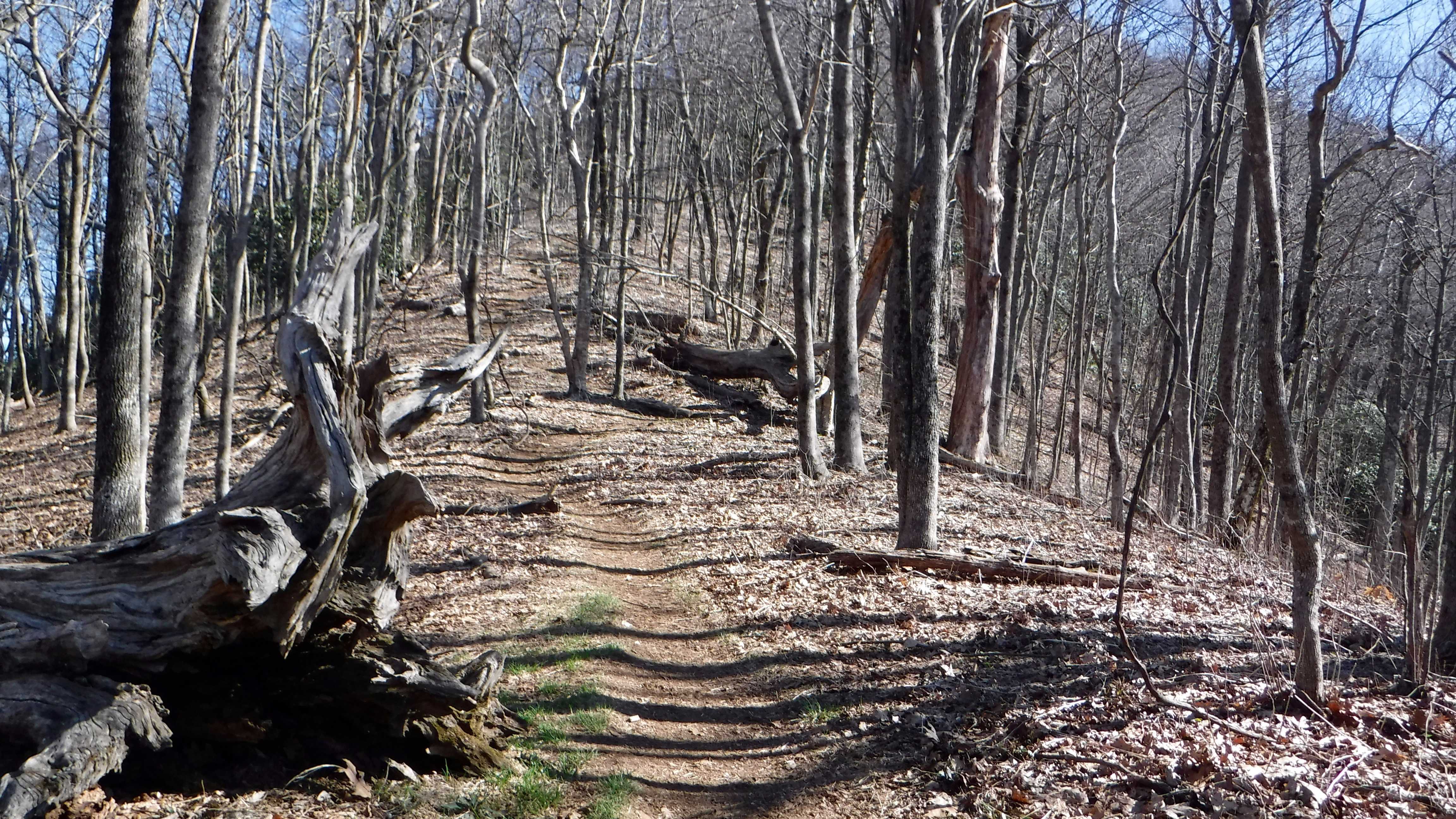 AT 2017: Day 8, Bly Gap to Beech Gap | Hike with Gravity