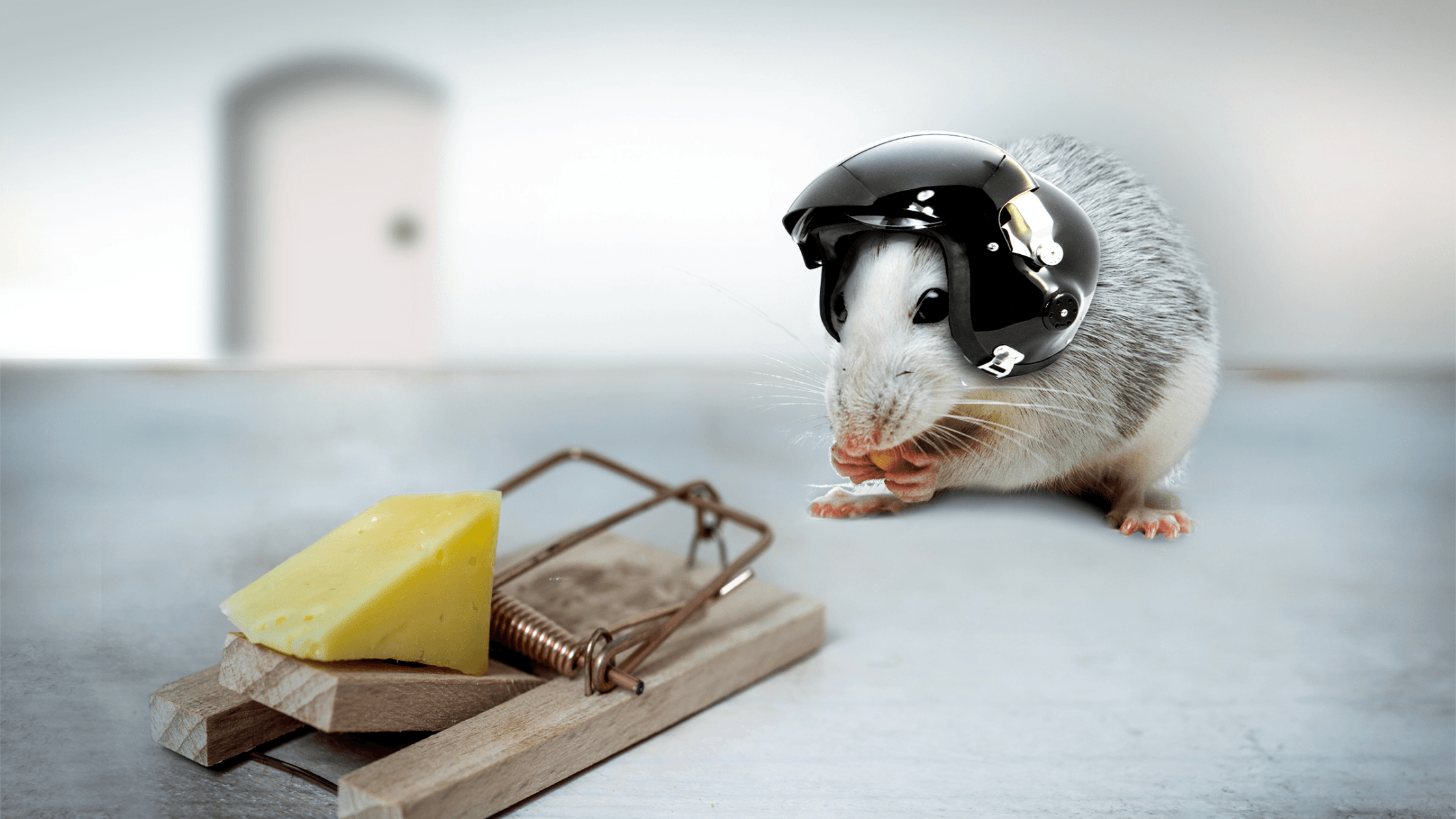 Absolute Training Centre | Elevate ・ Equip ・ Immerse