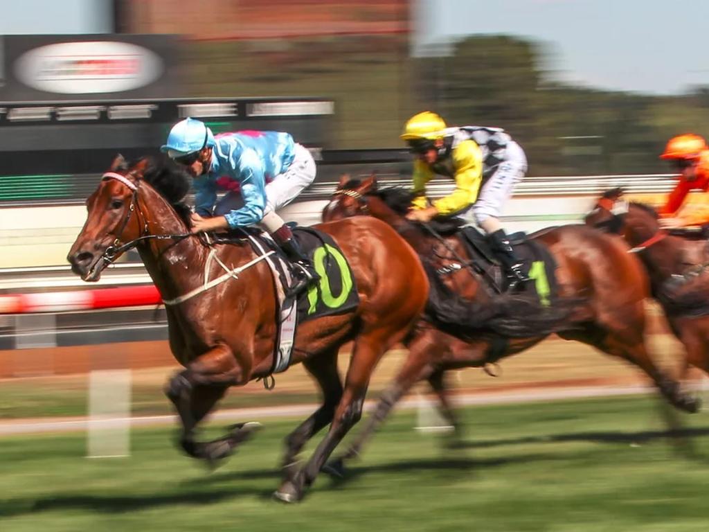 Canberra Racing Carnival 2023 | UpNext