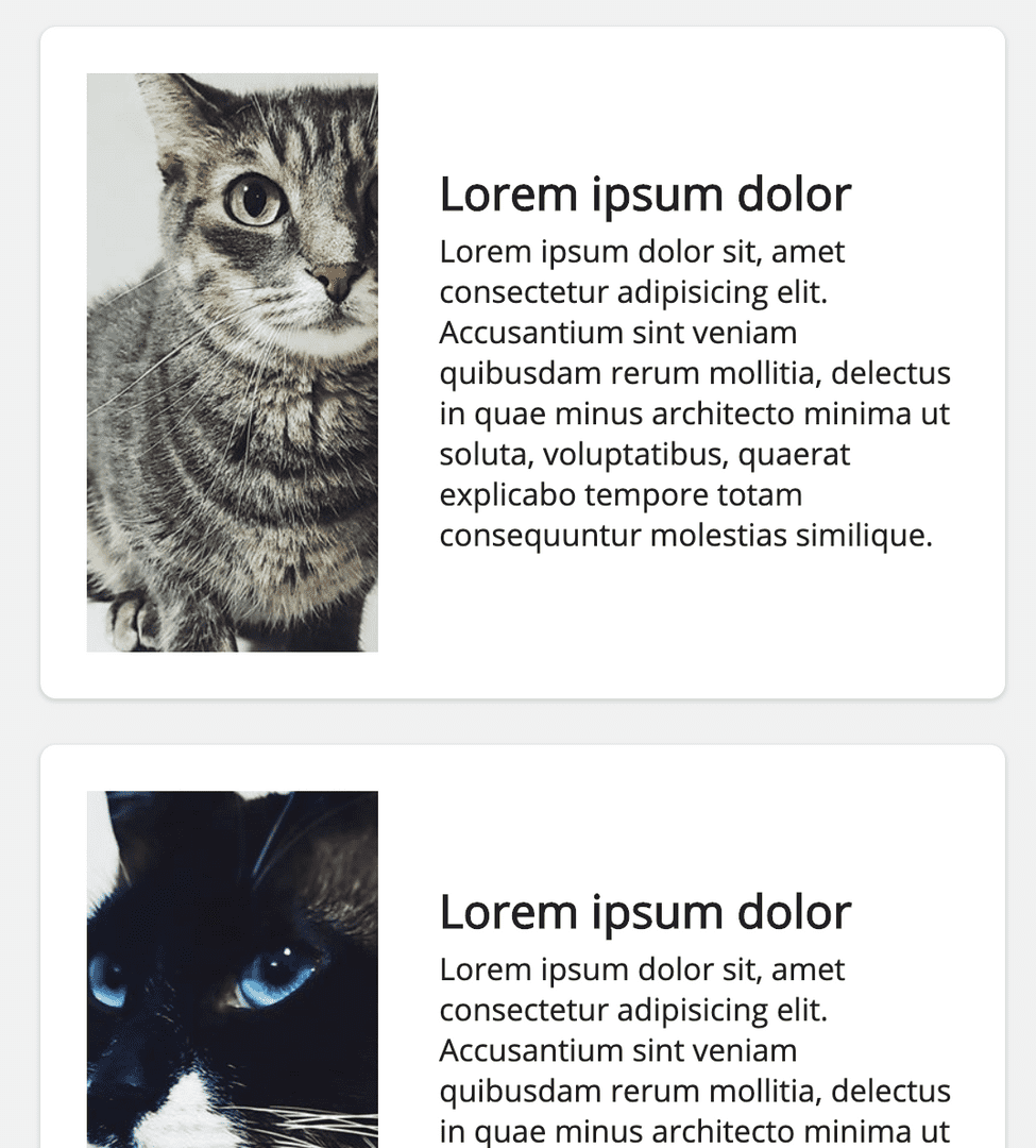 Css Grid E Flexbox Quando Utilizar Felipe Fialho Front End Developer