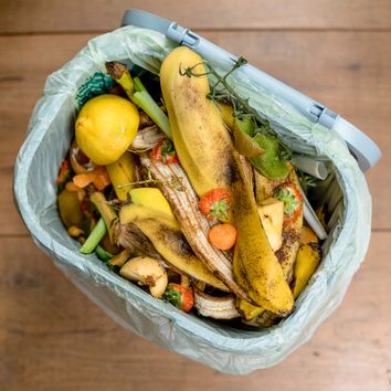 Bioplast 110/01 – Biotec