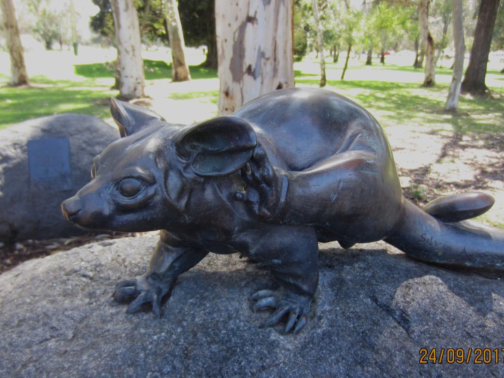 Connecting to Place. Kaurna Then and Now 2022 | UpNext