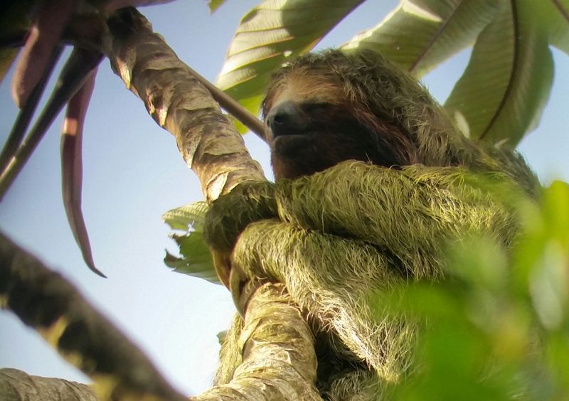 Arenal 4-in-1 Tour Arenal Volcano Costa Rica