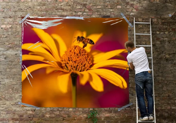 Spice up your images with wall banner Poster filter effects online for free