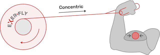 Advanced Flywheel Training Equipment - Exerfly Sport
