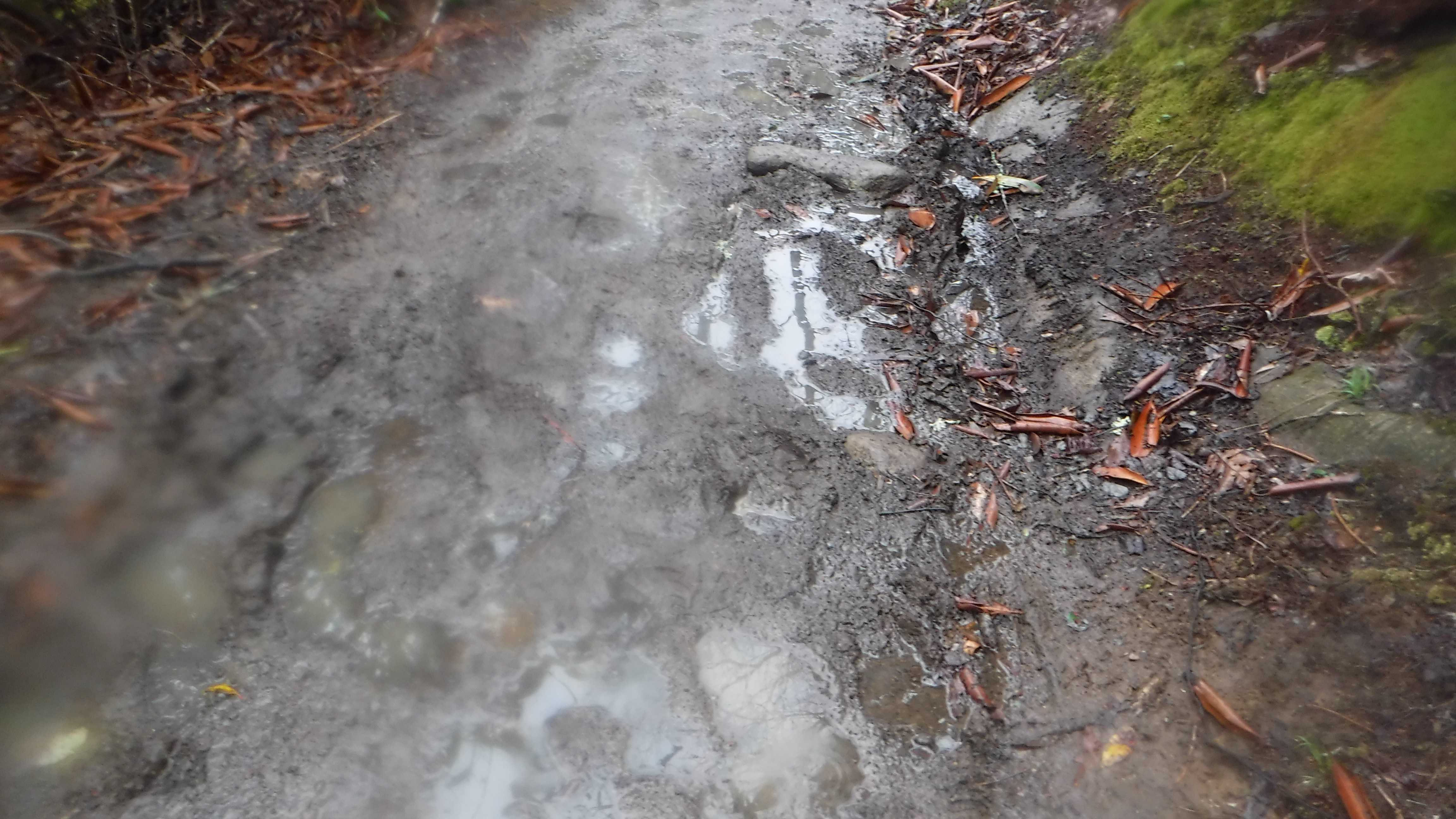 AT 2017: Day 16, Mollies Ridge Shelter to Derrick Knob Shelter | Hike ...