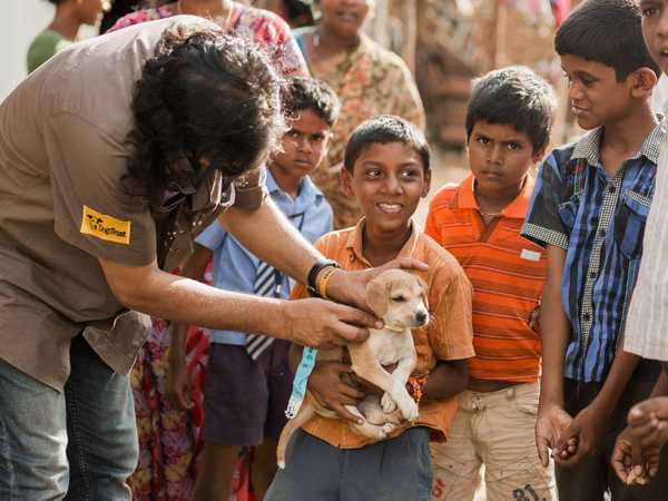 Mission Rabies // WVS