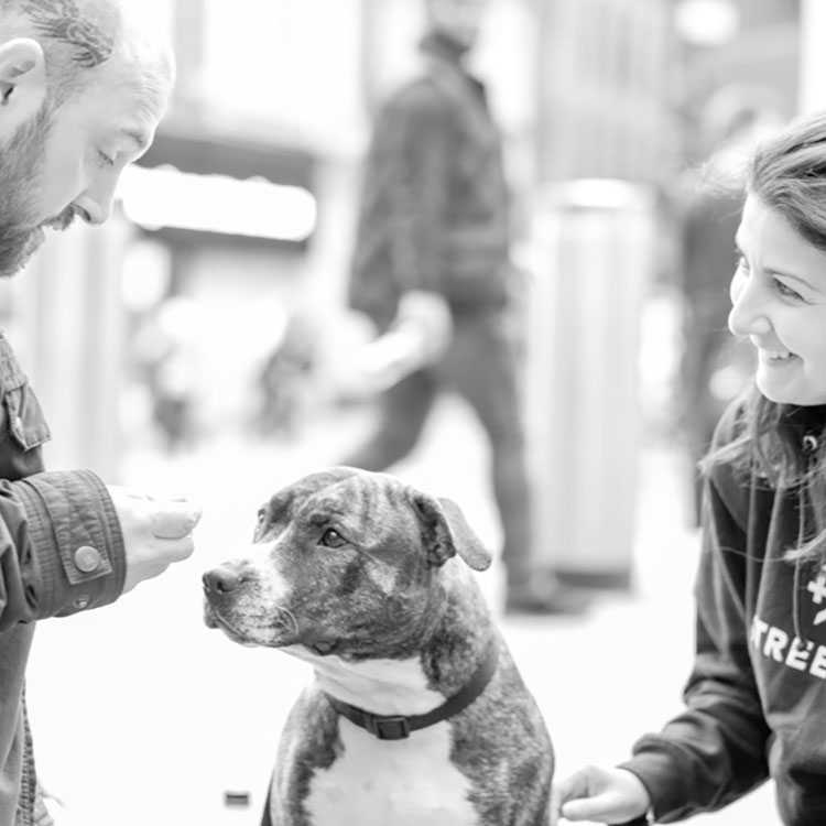 StreetVet is a veterinary charity that offers free accessible vet care ...