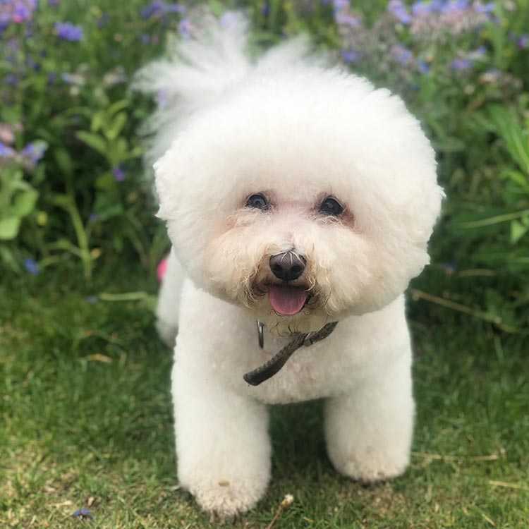 Victoria’s anxiety has often made everyday life a challenge, but Dali ...