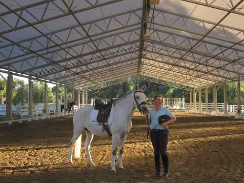 Gallery | WeCover Custom Fabric Riding Arenas