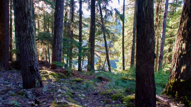 PCT 2019: Day 93, Timberline Lodge to Timothy Lake | Hike with Gravity