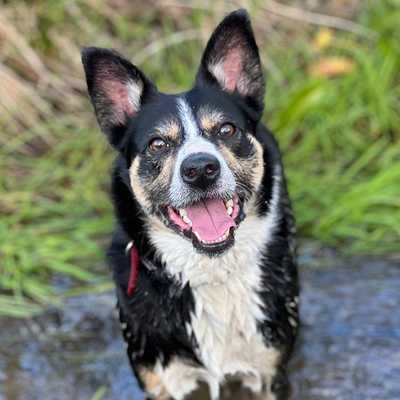 For many years, Dusty has been an invaluable source of support for ...