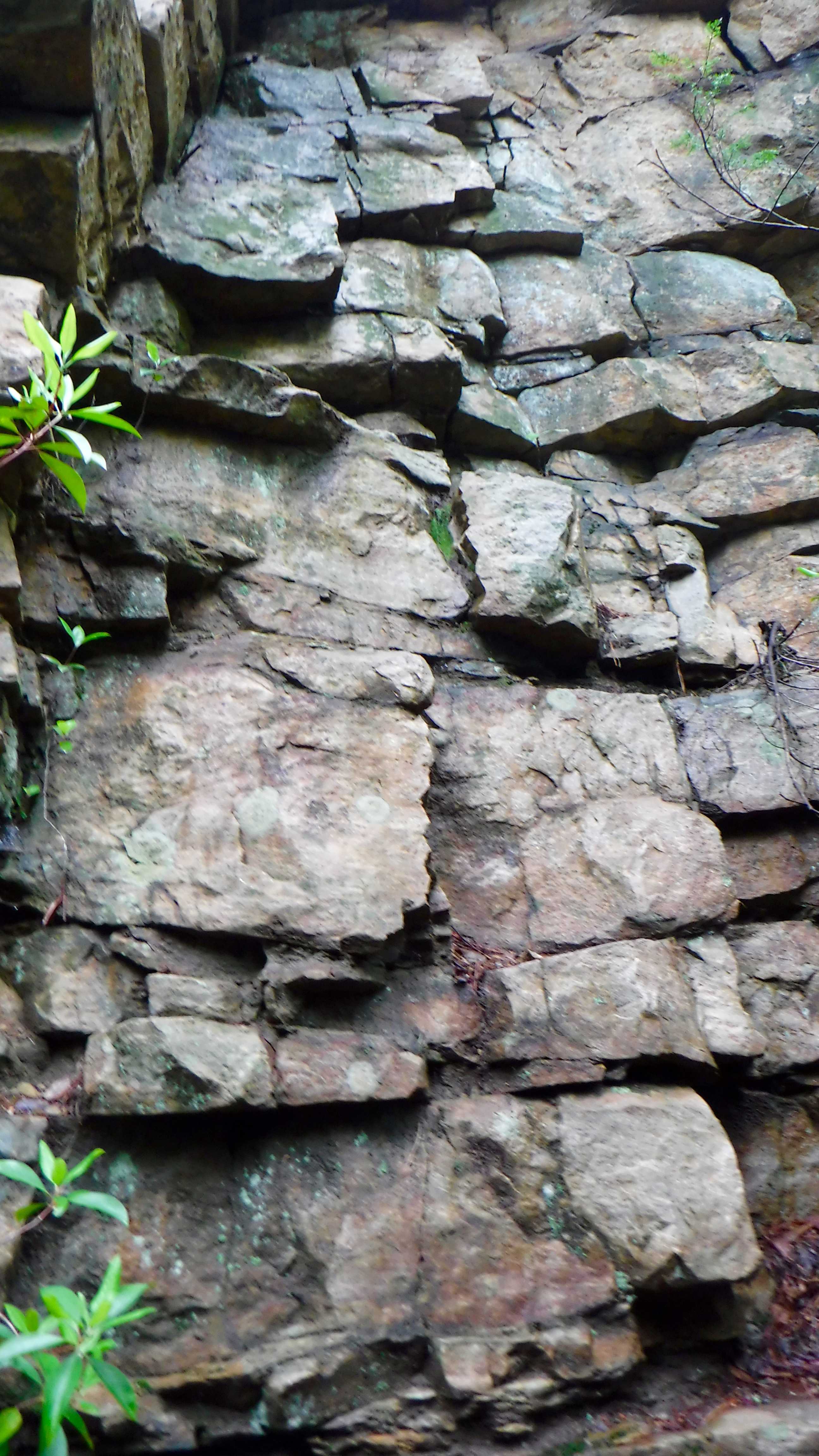 AT 2017: Day 33, Moreland Gap Shelter to Shook Branch Road | Hike with ...