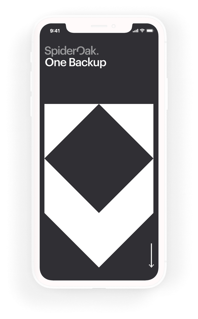 the space between is secured by SpiderOak