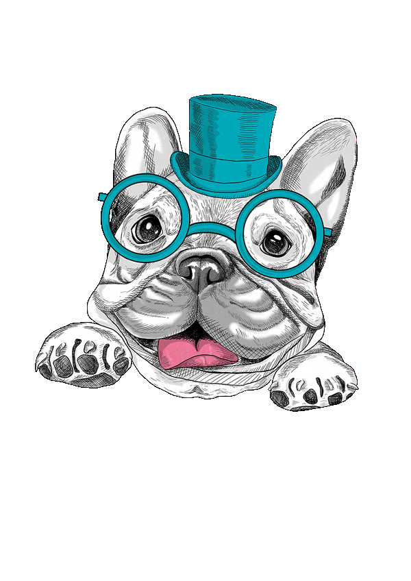 Home | Filomilo | Pet food and treats.