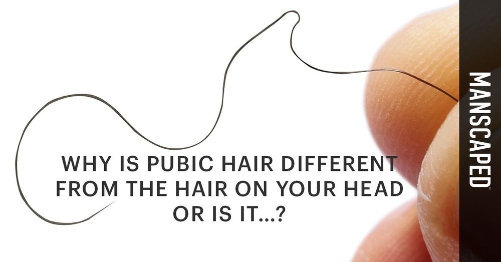Why Is Pubic Hair Different From the Hair on Your Head - or Is It ...